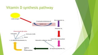 Vitamin d3, methods_of_measurement_and_it's_correlation_with_diabetes ...