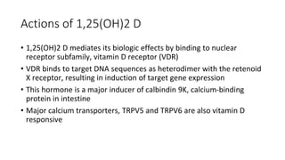 Vitamin D and disorders – hypo/ hypervitaminosis D | PPTX