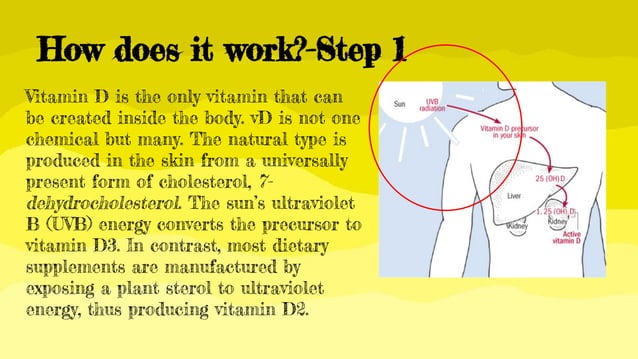 Vitamin D Deficiency Explained | PDF