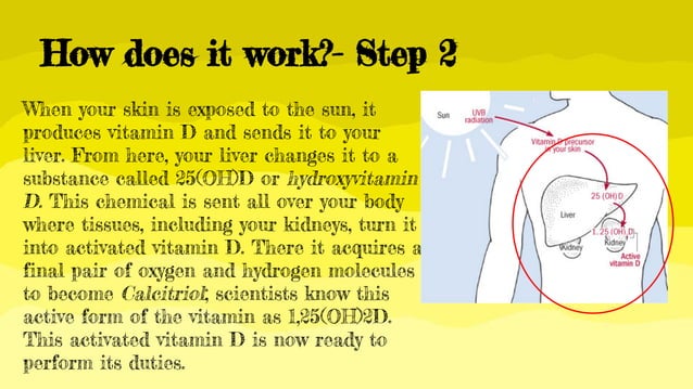 Vitamin D Deficiency Explained | PDF