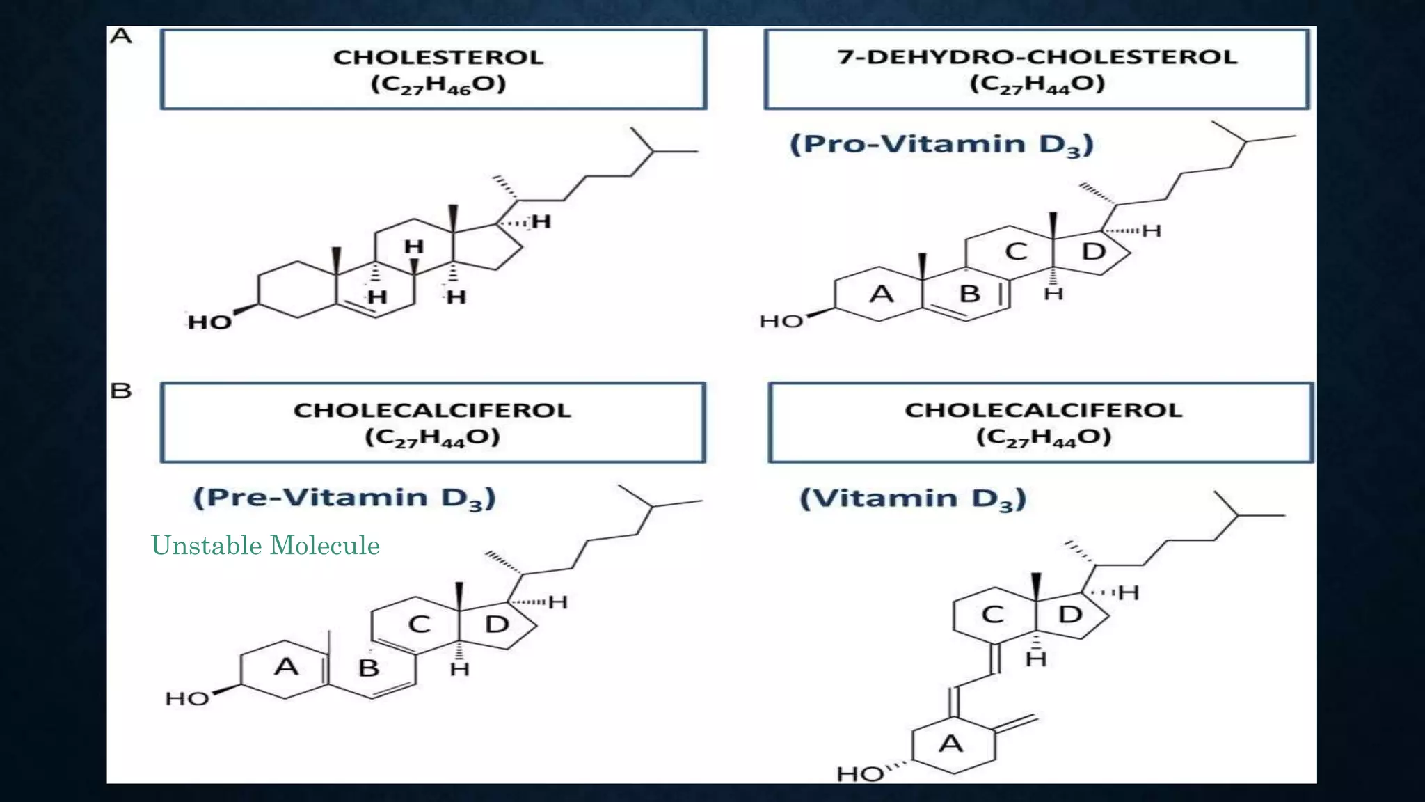 Vitamin d endocrine system from evolution to revolution | PPTX