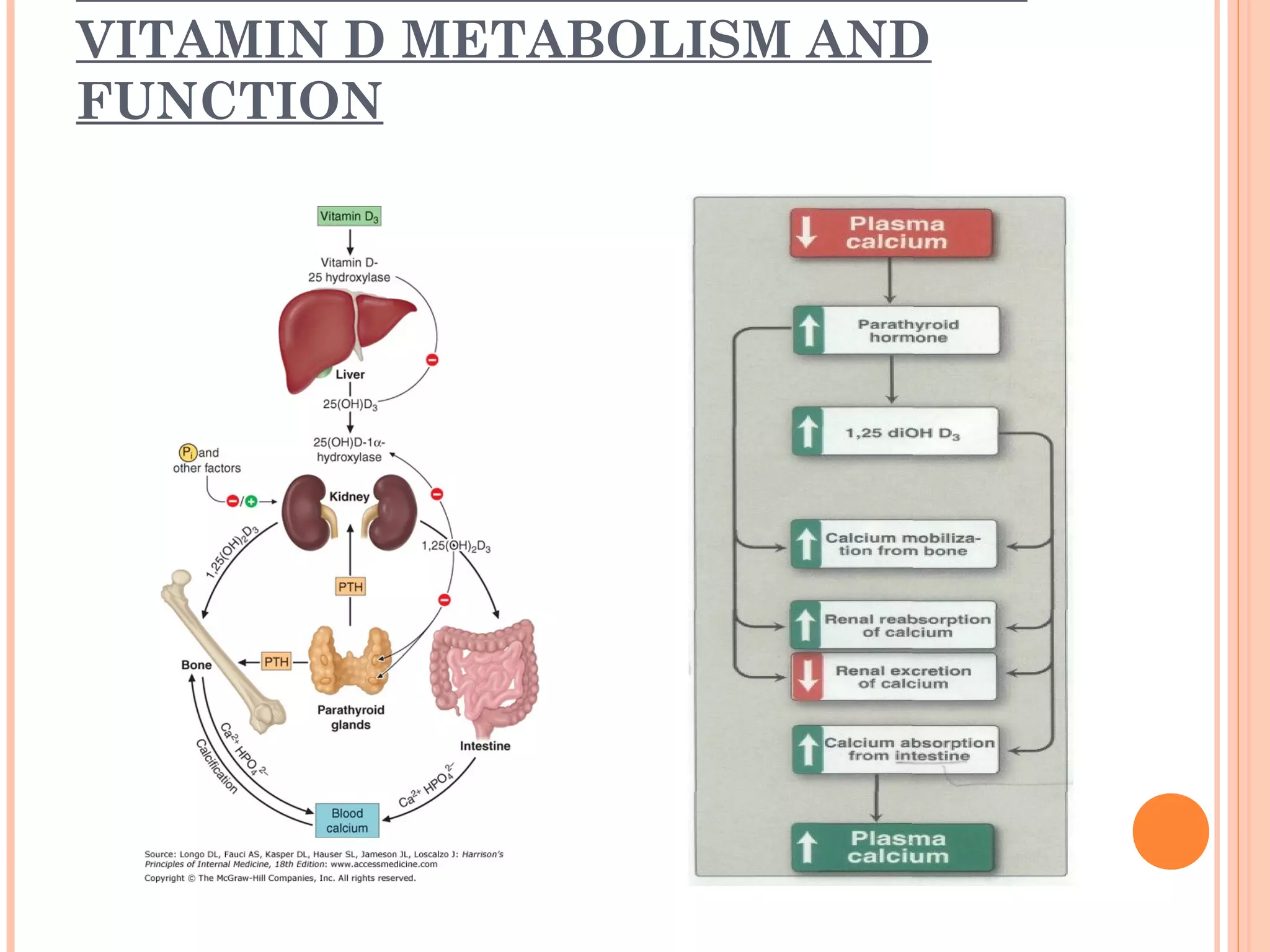 Vitamin D Deficiency, by Dr. Mihir Adhikari | PPT