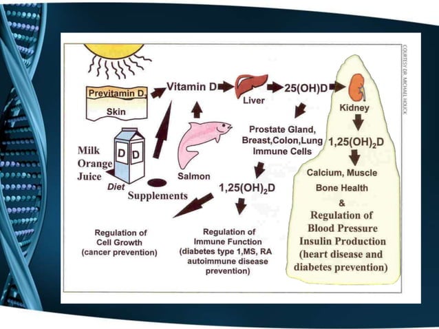 Vitamin d presentation | PPTX