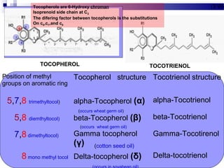 VITAMIN E (MEDICINAL CHEMISTRY) BY P.RAVI SANKAR. [INTRODUCTION ...