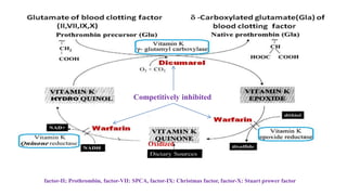 Vitamine -E & K.pptx