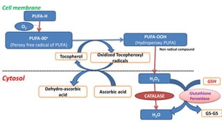 Vitamine -E & K.pptx