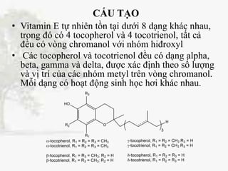 VITAMIN_E (1).pptx