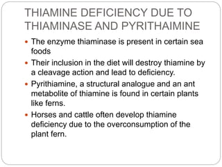 vitamine B1.pptx | Blood Disorders | Diseases and Conditions