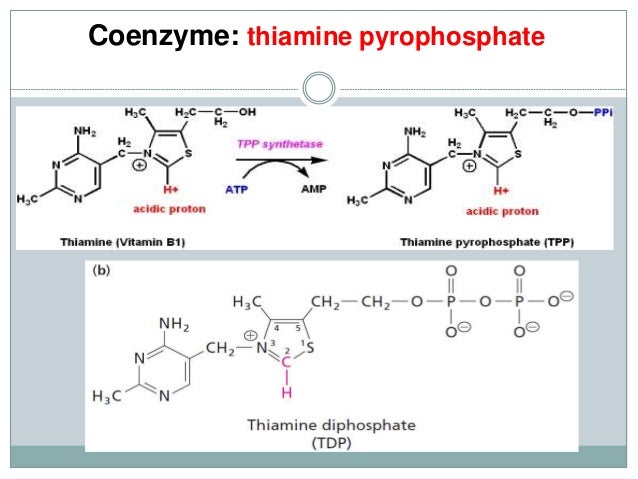 Thiamine Pyrophosphate Vitamin B1 Thiamine Pyrophosphate 60caps Core Nutrition Structure