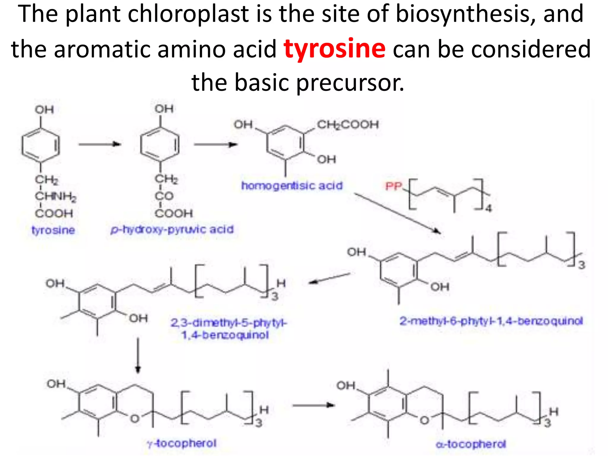 Vitamin E, Biochemistry.pptx