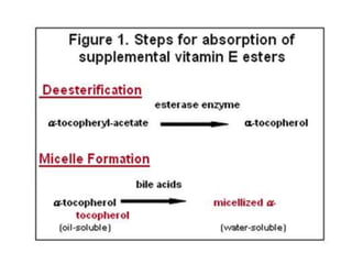 Vitamin E, Biochemistry.pptx