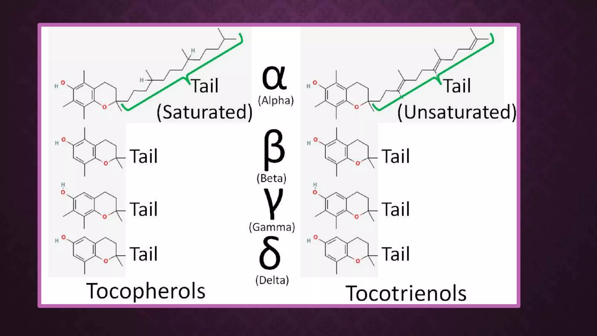 Vitamin E Dr ARUN.pptx