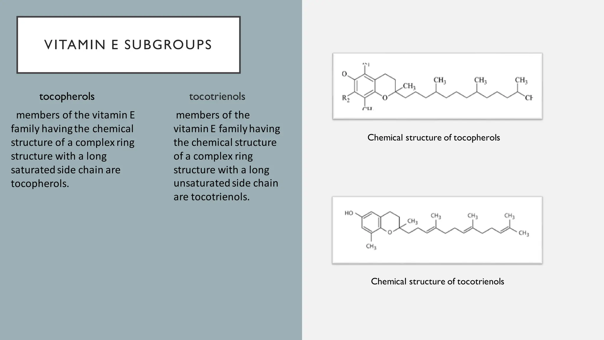 Vitamin E final presentation for Nutrition | PDF