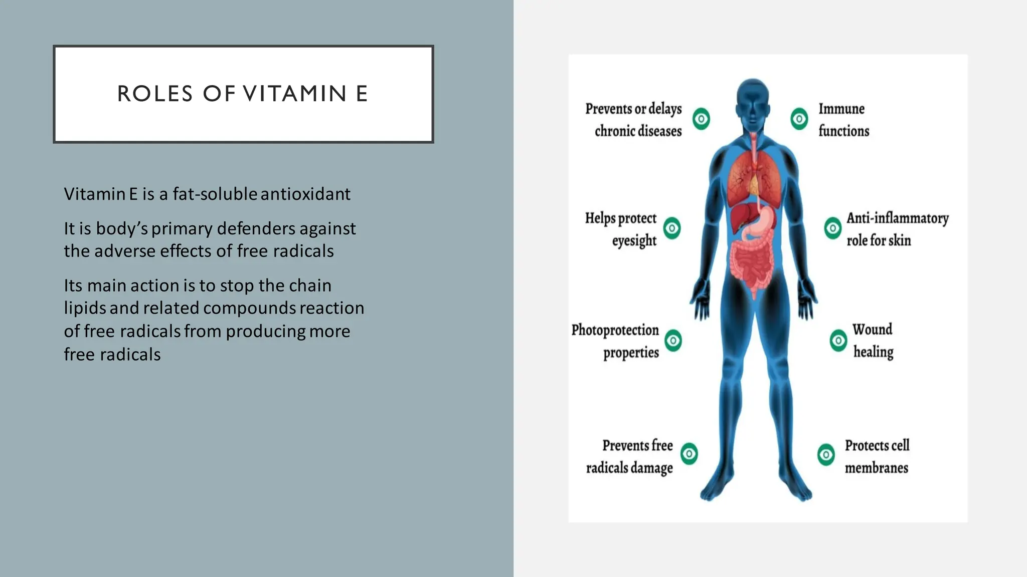 Vitamin E final presentation for Nutrition | PDF