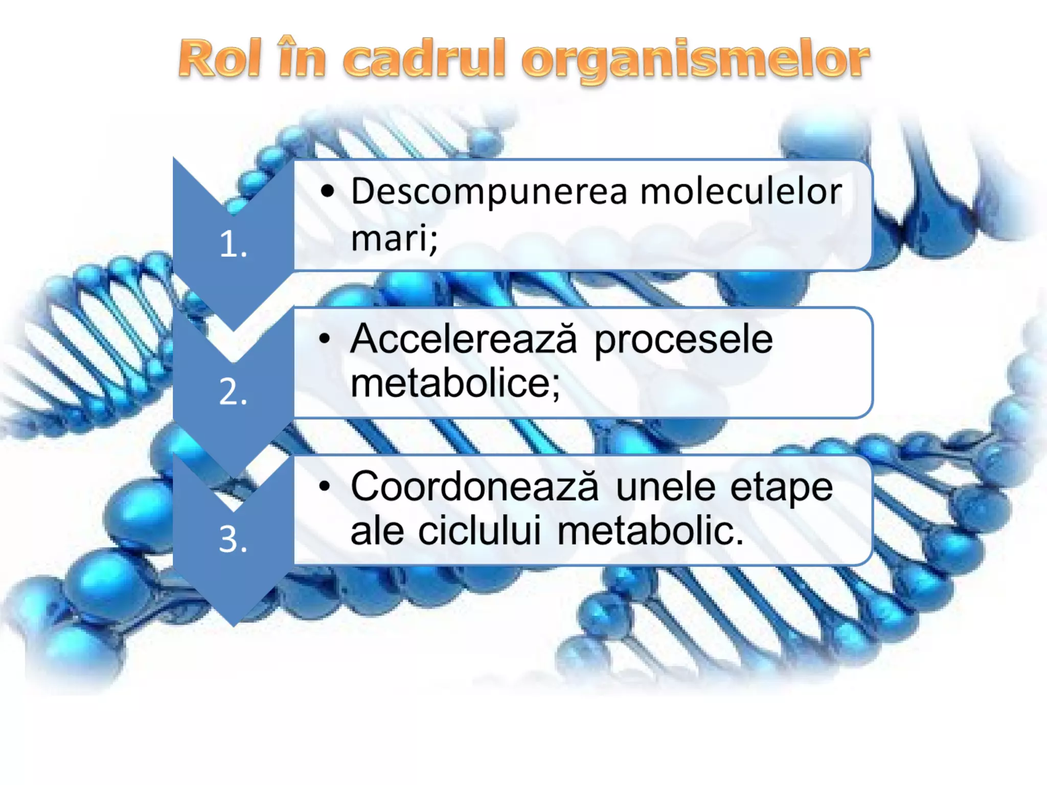 Vitaminele și Enzimele | PPT