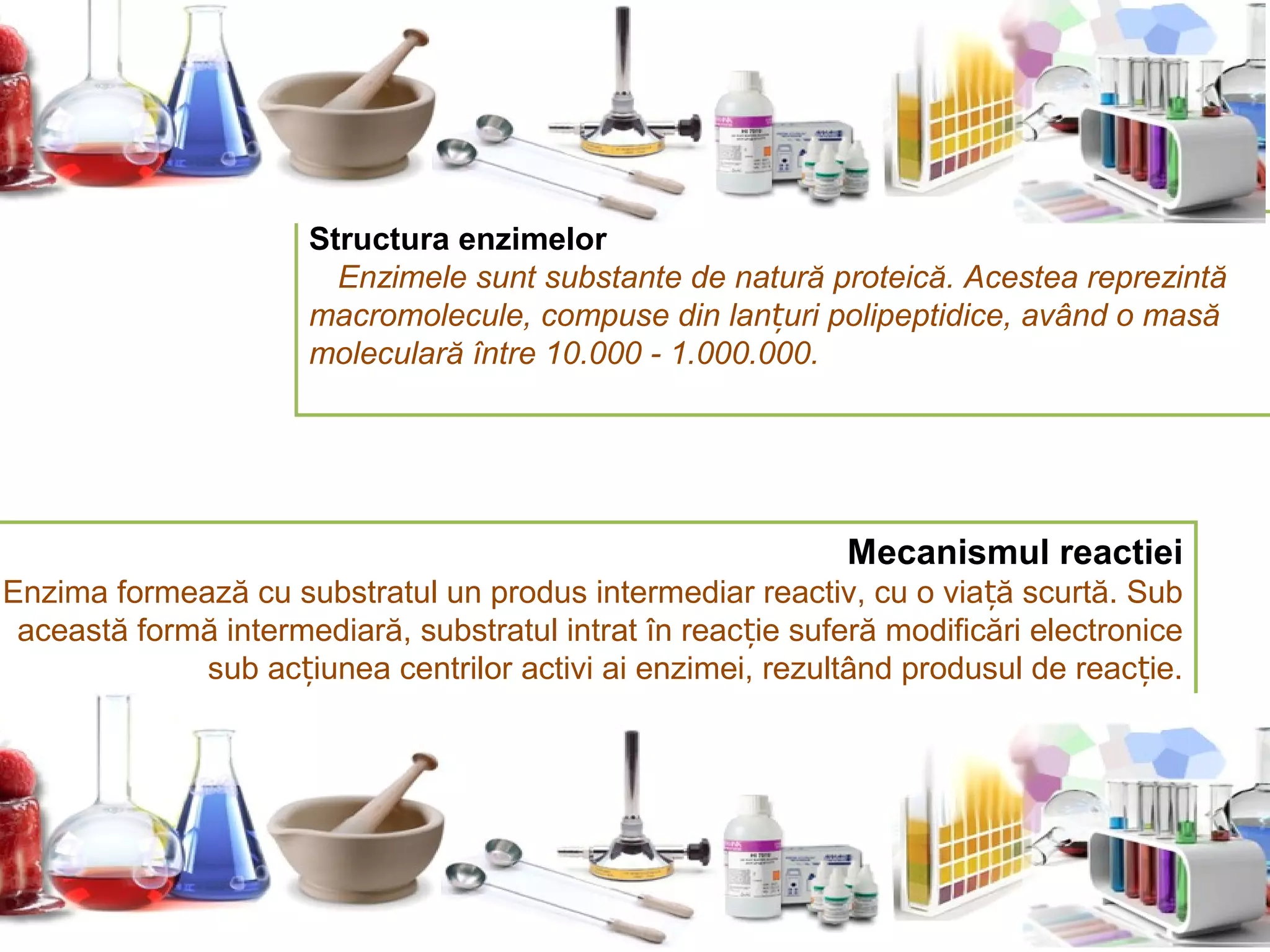 Vitaminele și Enzimele | PPT