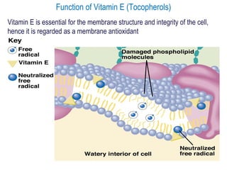 Vitamin fat soluble bph class | PPT