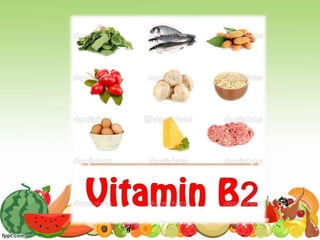 Vitamini | PPTX