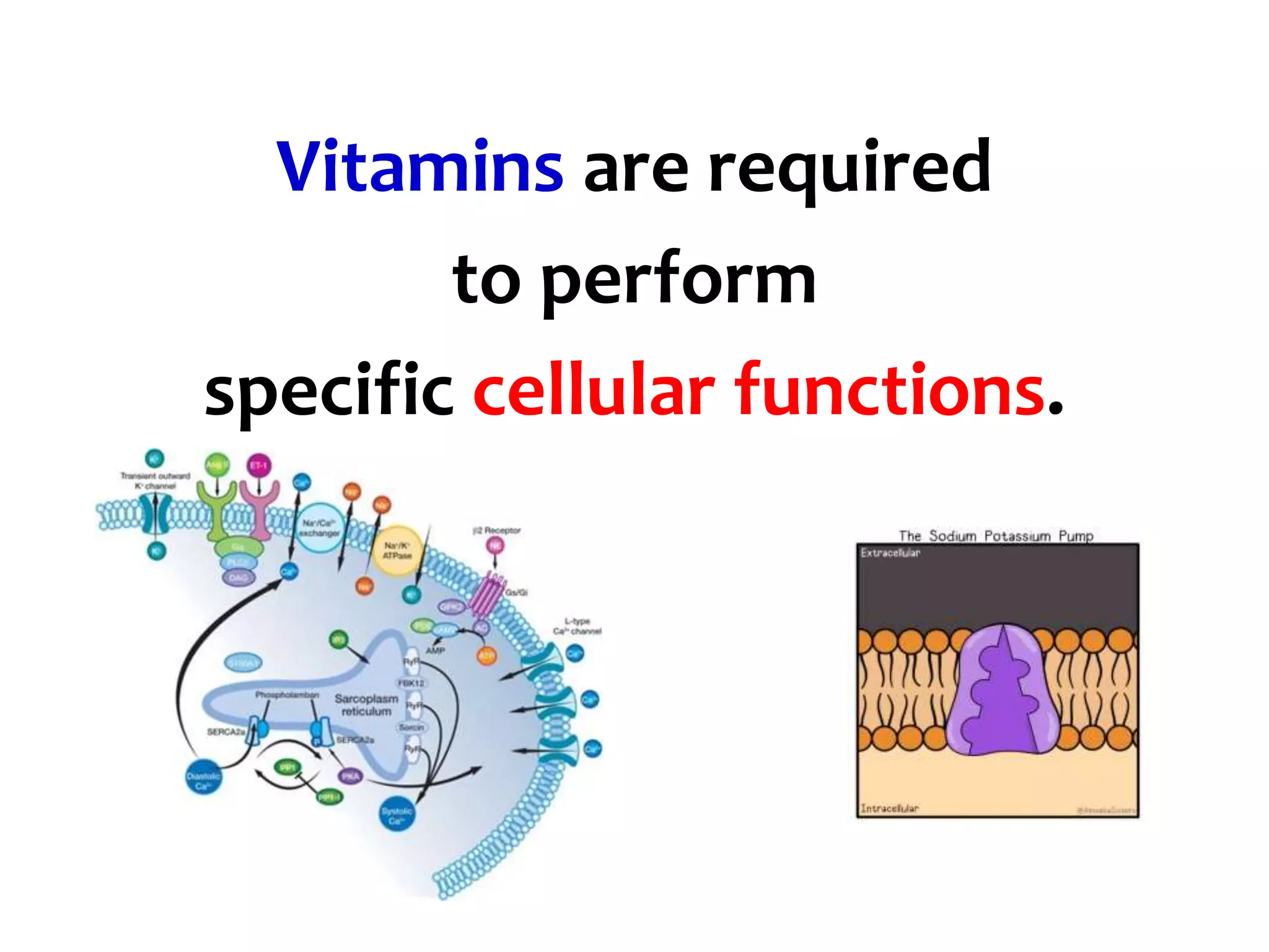 Medical Biochemistry | Food and Nutrition, Vitmins and Minerals ...