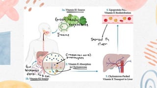 Vitamin K paediatrics RDA , dietary sources | PPTX