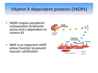 Vitamin k and vascular calcification | PPT