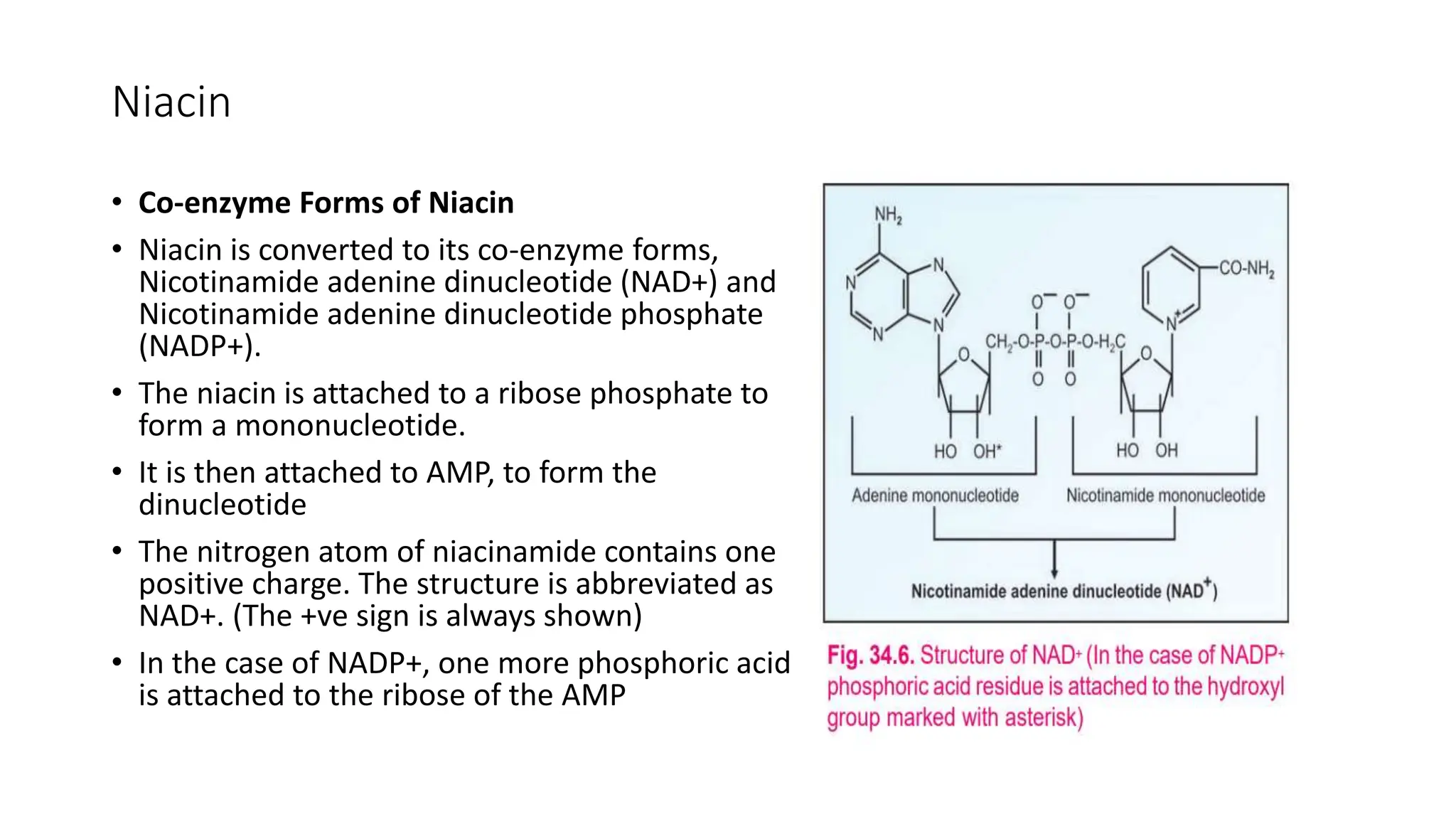 VITAMIN METABOLISM BIOCHEMISTRY PRESENTATION | PPTX