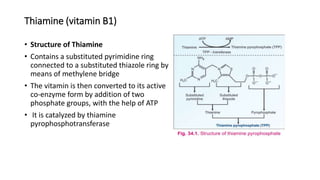 VITAMIN METABOLISM BIOCHEMISTRY PRESENTATION | PPTX