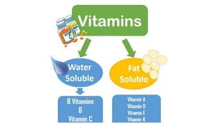 Vitamins | PPTX
