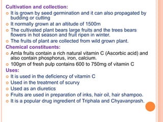Vitamins | PPTX
