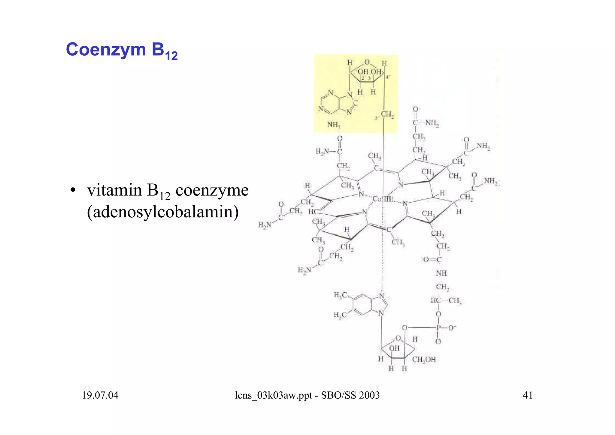 vitamin cofactors | PDF
