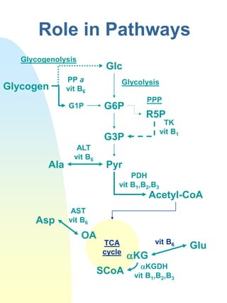 Vitamins | PDF