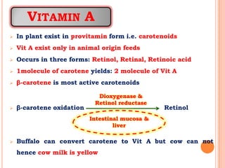 Vitamins.pdf