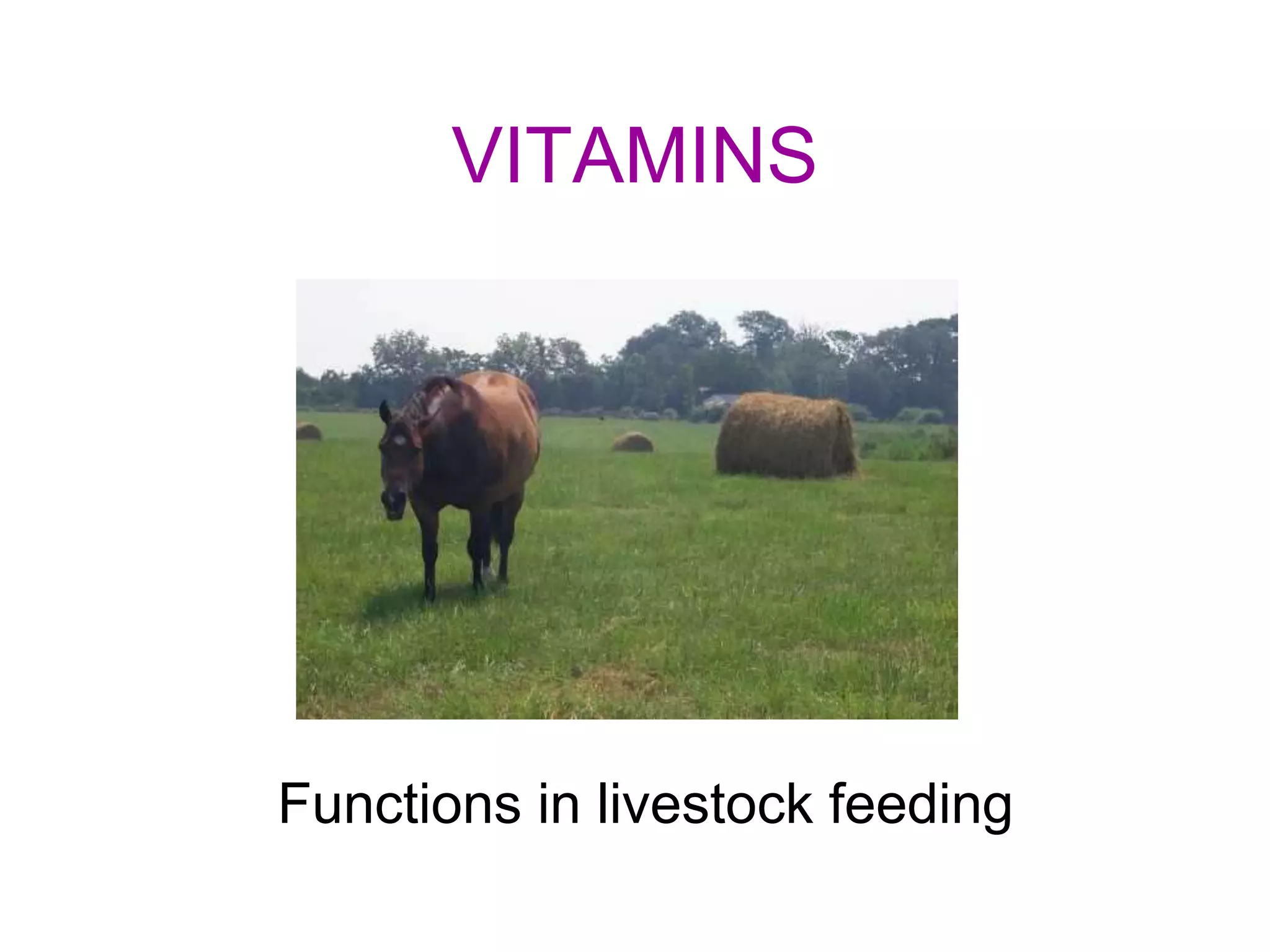 Vitamins.ppt