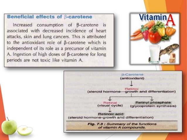 vitamins.pdf