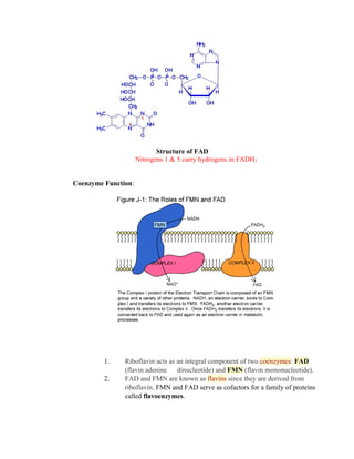 Vitamins & Coenzymes | DOC