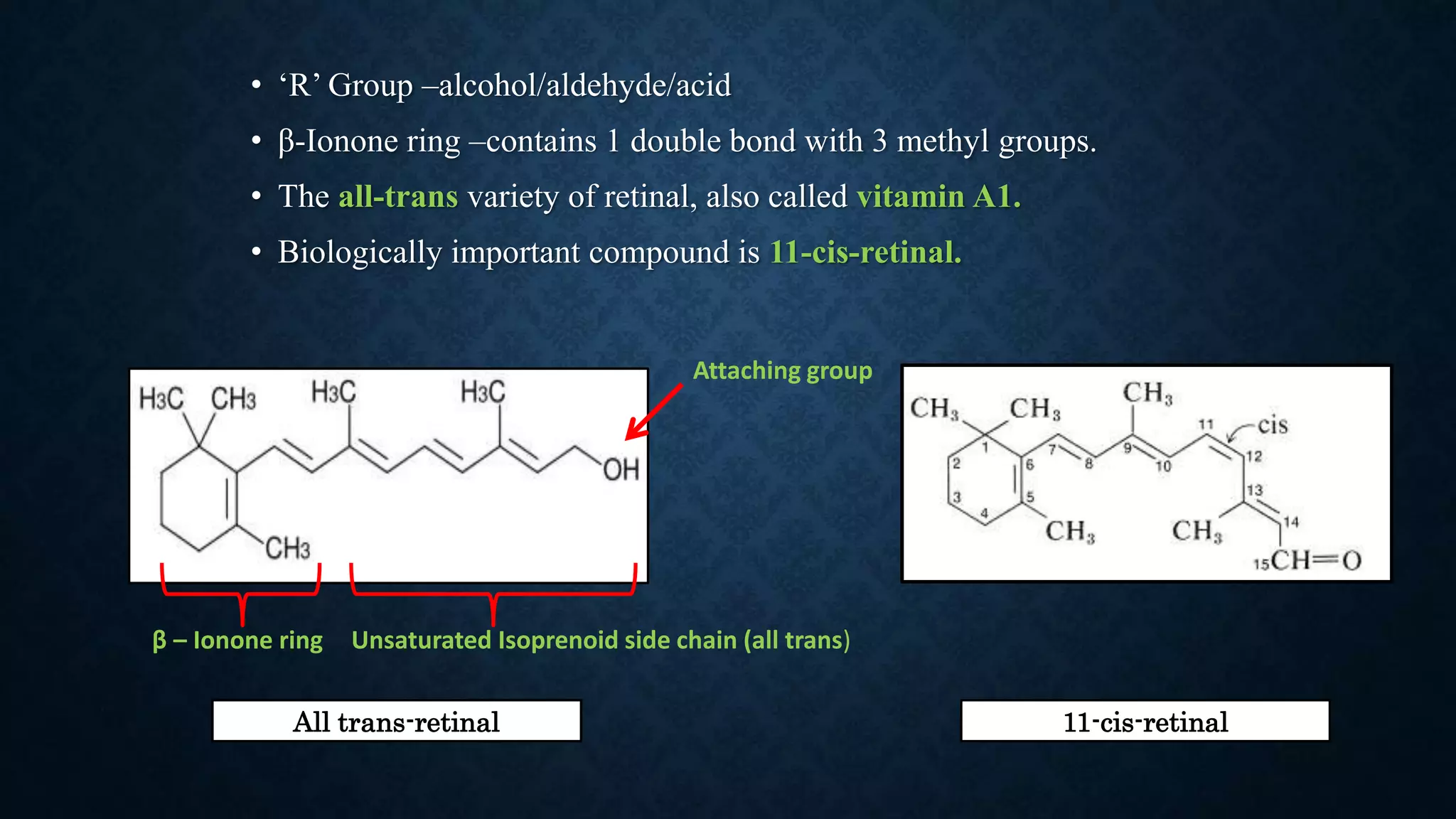 Fat Soluble Vitamins ppt | PPTX