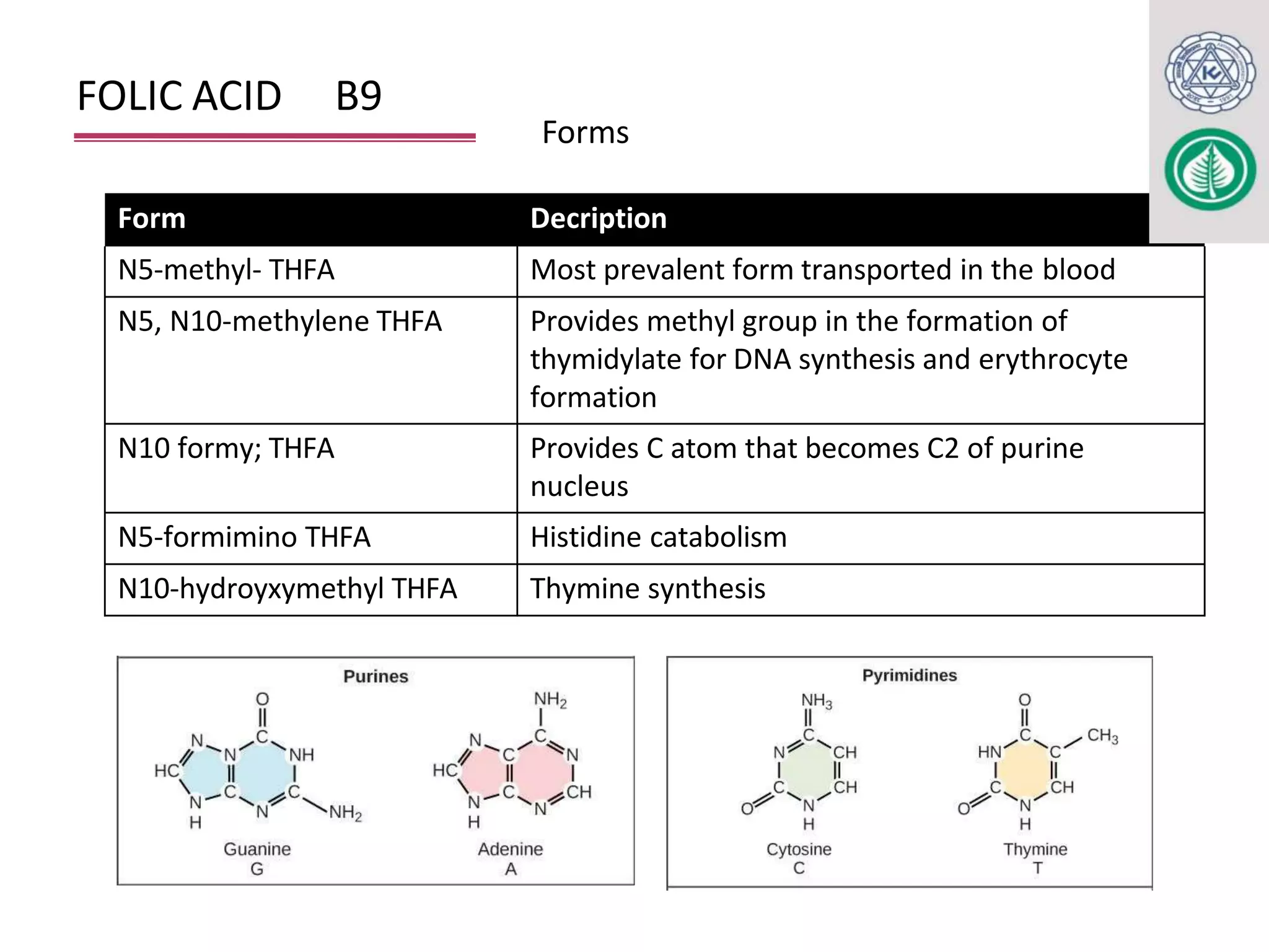 Biochemistry of Vitamins for Medical Students-Rajendra | PPTX