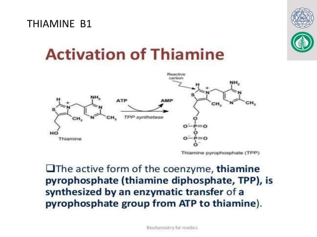 Biochemistry of Vitamins for Medical Students-Rajendra | PPTX ...