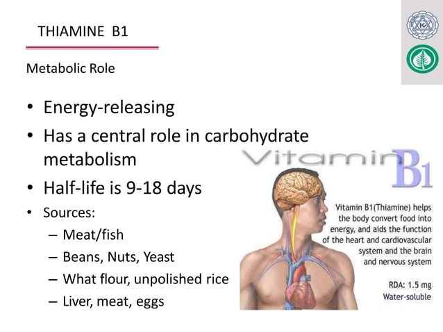 Biochemistry of Vitamins for Medical Students-Rajendra | PPTX | Chemistry | Science