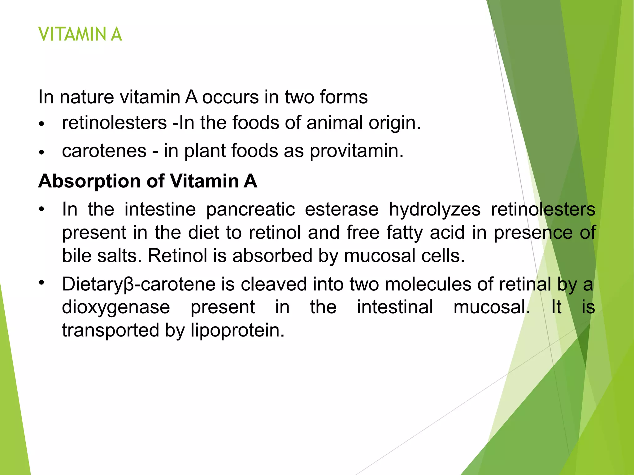 vitamins%20edit.pptx
