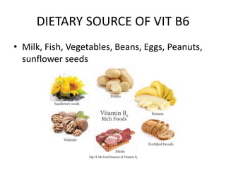 Vitamin B Complex Rich Foods