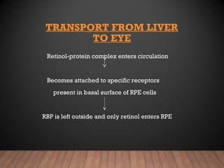 Vitamins a | PPT | Eye and Vision Conditions | Diseases and Conditions