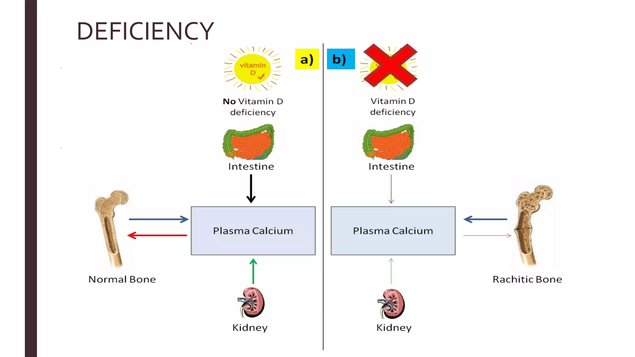 Vitamins adek | PPTX