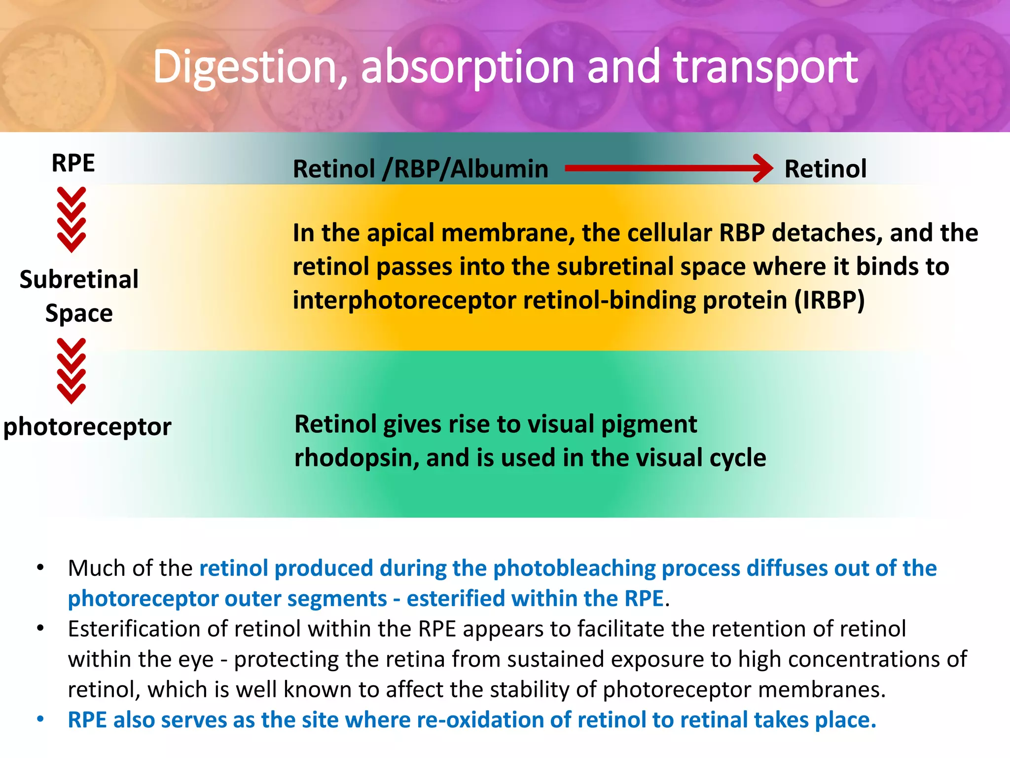Vitamins and eye | PDF