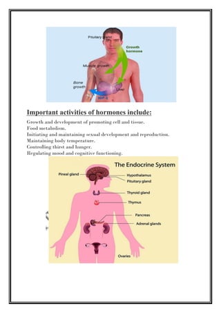 Chemistry investigatory project 2k18 (12th isc): Vitamins and hormones ...