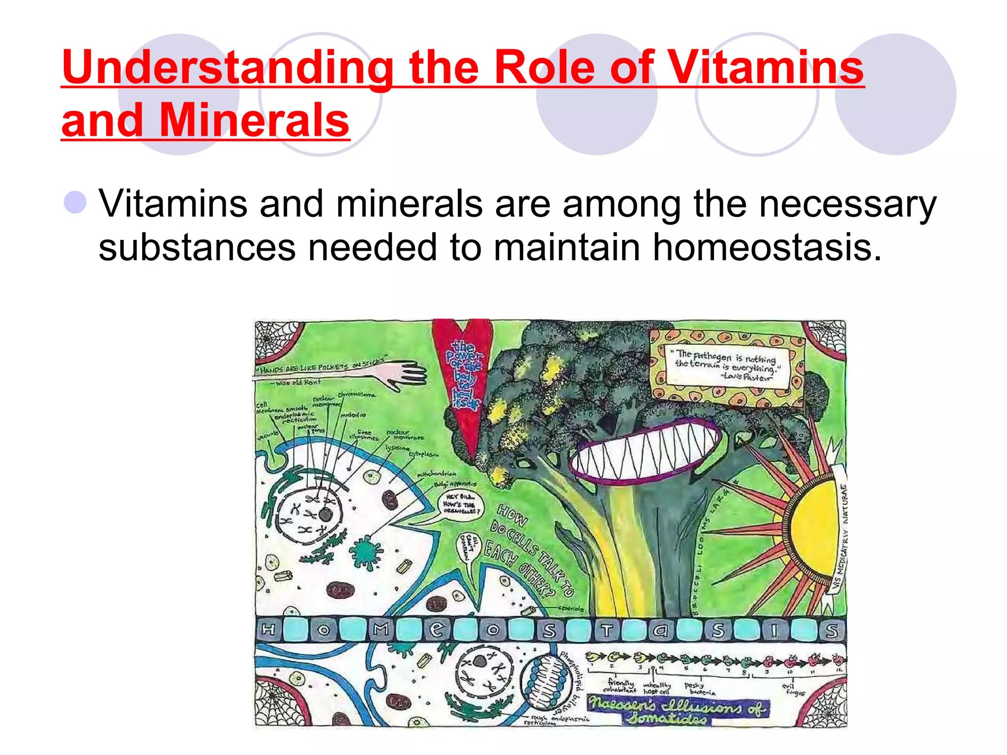 Vitamins and minerals | PPT