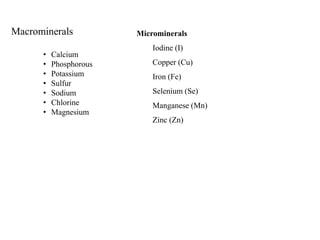 Vitamins and minerals | PDF