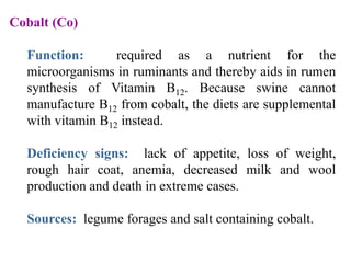 Vitamins and minerals | PDF