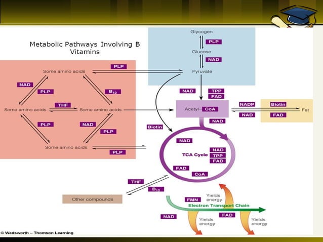 Minerals, vitamins and their interractoins in poultry rations | PPT