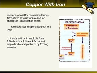 Minerals, vitamins and their interractoins in poultry rations | PPT